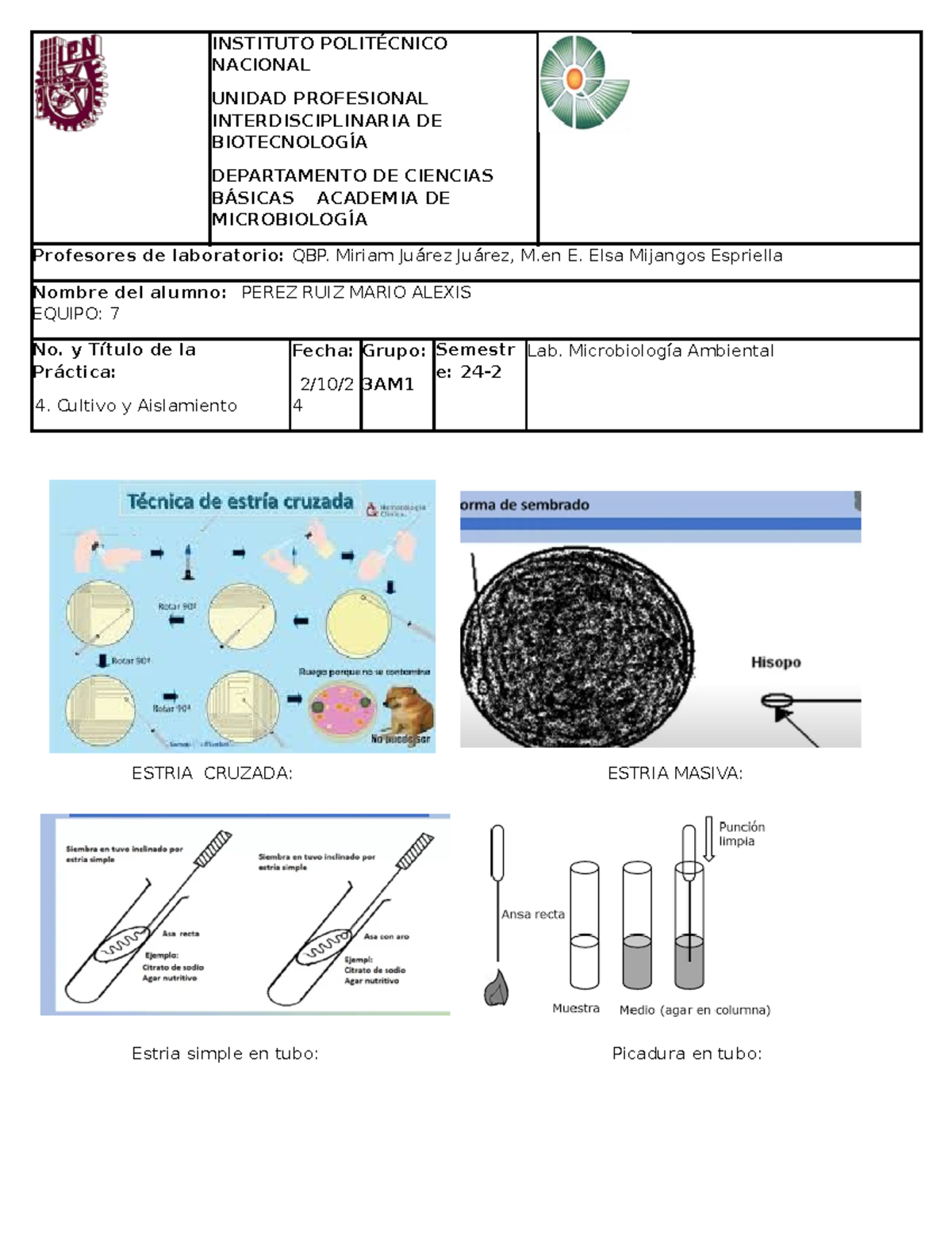 Previa 4 - ESTRIA CRUZADA: ESTRIA MASIVA: Estria simple en tubo ...