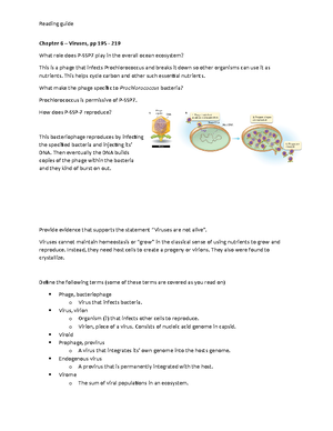 Chapter 3 reading guide cell structure and function - Reading guide Chapter 3 - cell structure ...