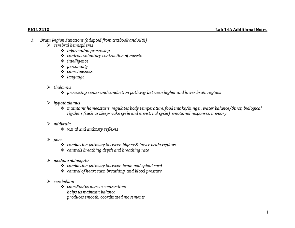 Lab 14A Additional Notes - Brain Region Functions (adapted from ...