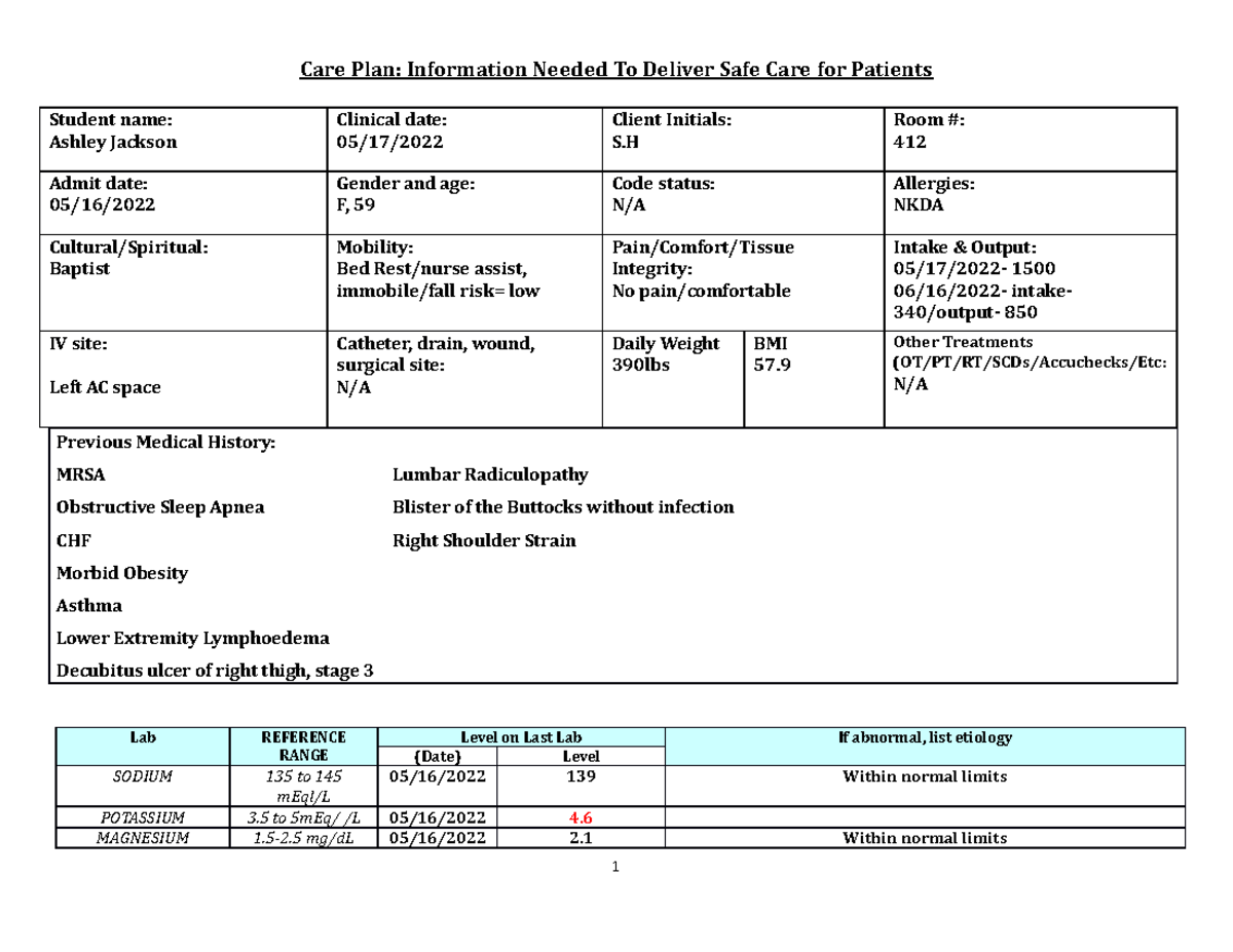 Care Plan Template 06:19:22 - Care Plan: Information Needed To Deliver ...