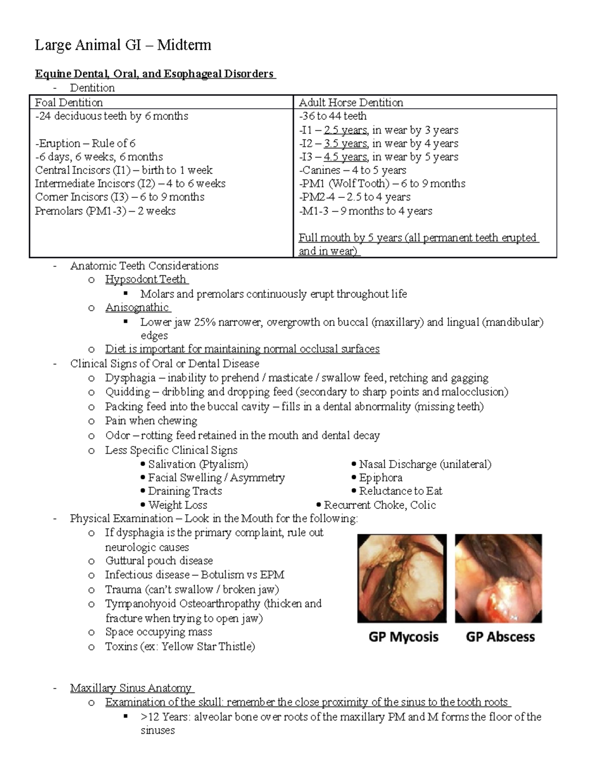 Large Animal GI - Midterm - Large Animal GI – Midterm Equine Dental ...