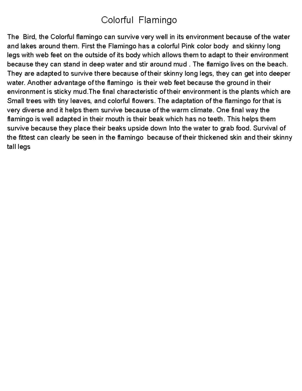 Brid 2 - Talking about braids - Colorful Flamingo The Bird, the ...