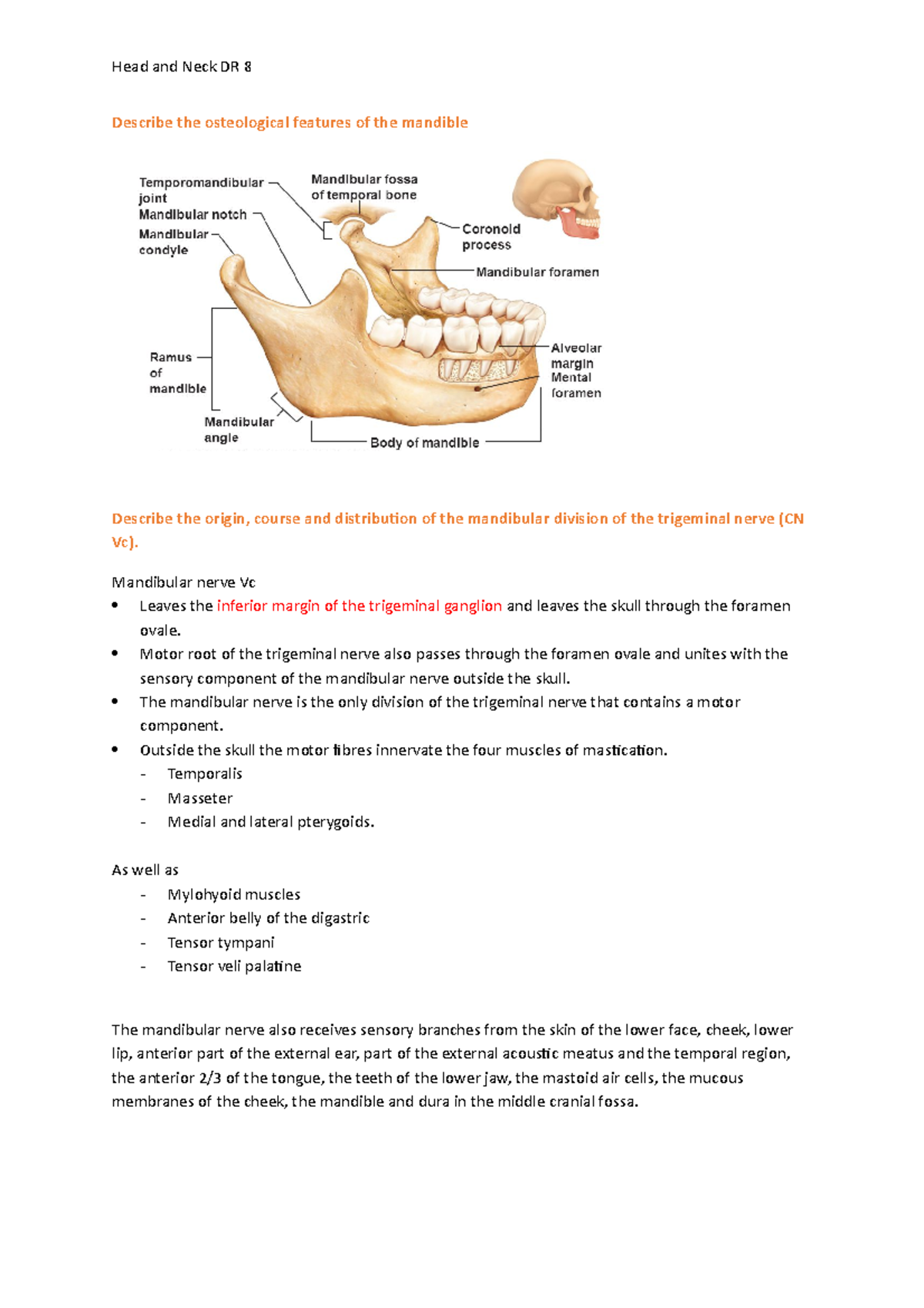 DR 8 Muscles of mastication - Head and Neck DR 8 Describe the ...