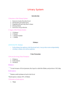 Respiratory System Notes (class year: fall 2021) - Respiratory System ...