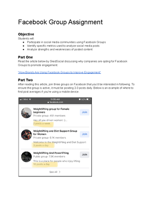 Social Media Marketing Plan Assignment - It is intended to answer many ...