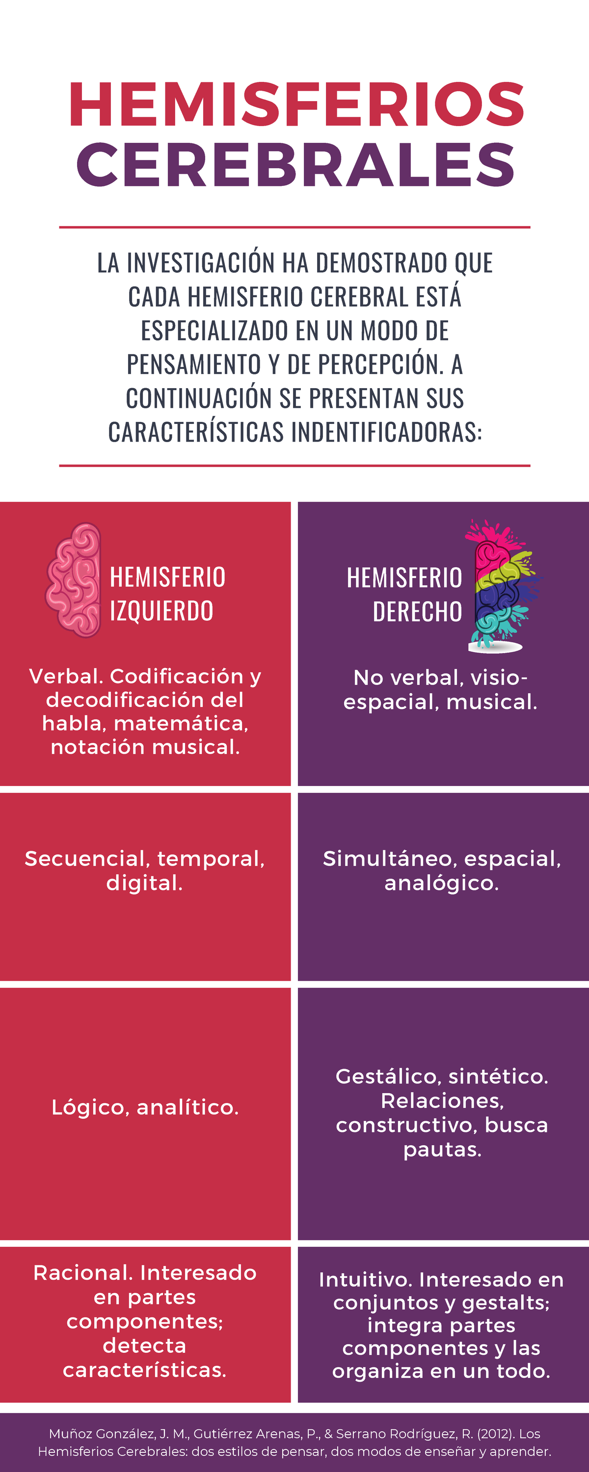 Infografía Hemisferios Cerebrales - HEMISFERIOS CEREBRALES Verbal ...