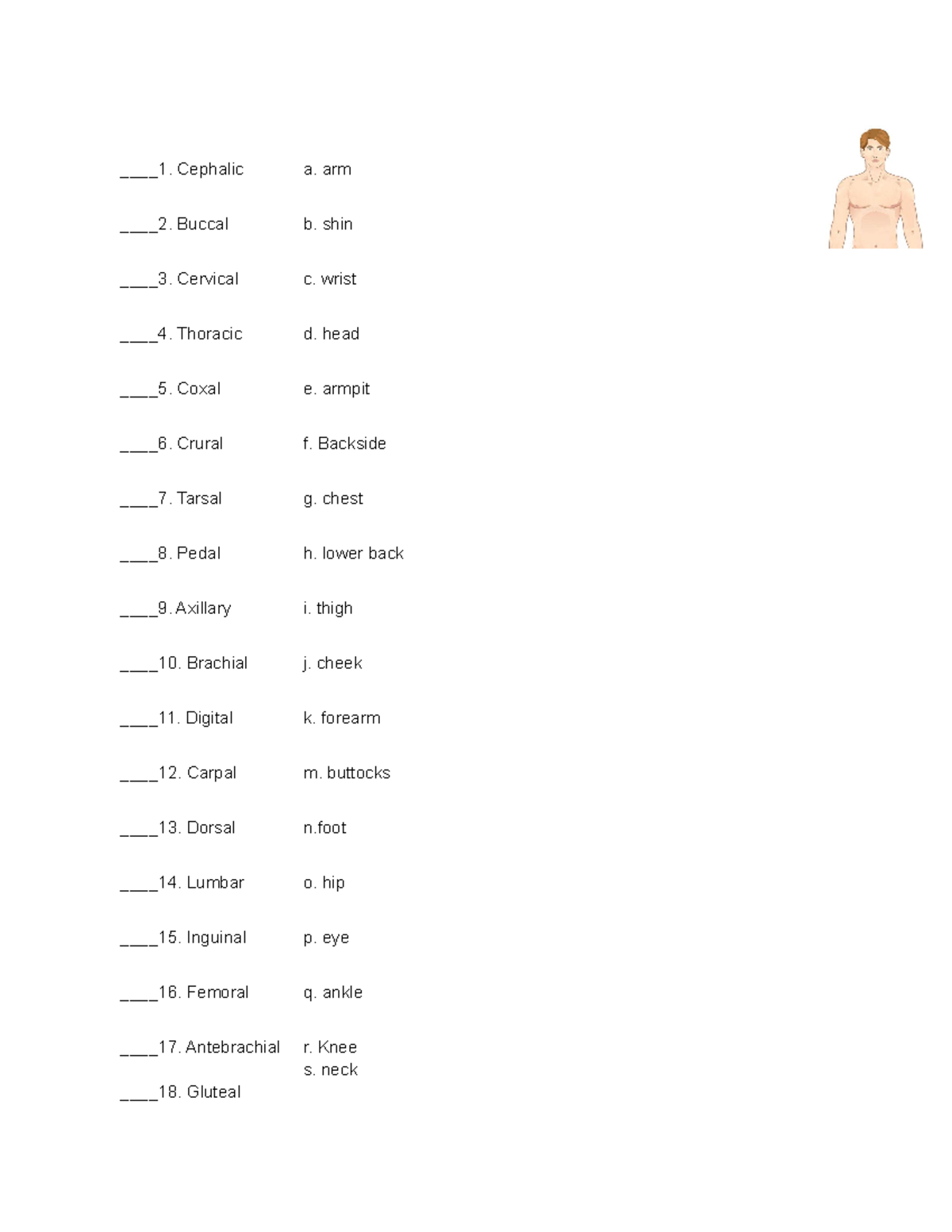 Part 2 Unit 1 test - practice test questions - ____1. Cephalic a. arm ...