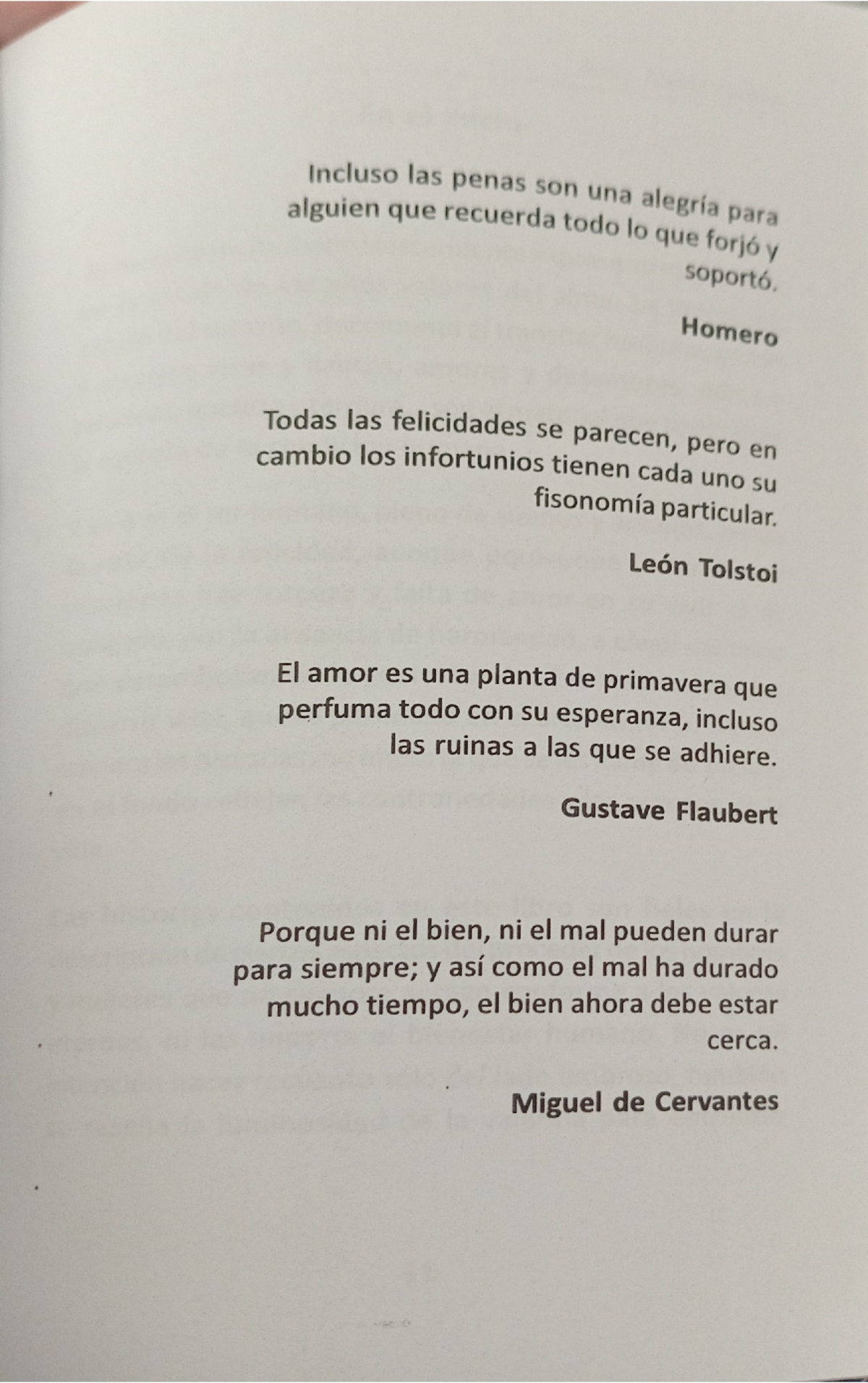 Escaneado 20241118-0757 - Crítica Literaria - alguien Incluso las penas son una alegría que ...