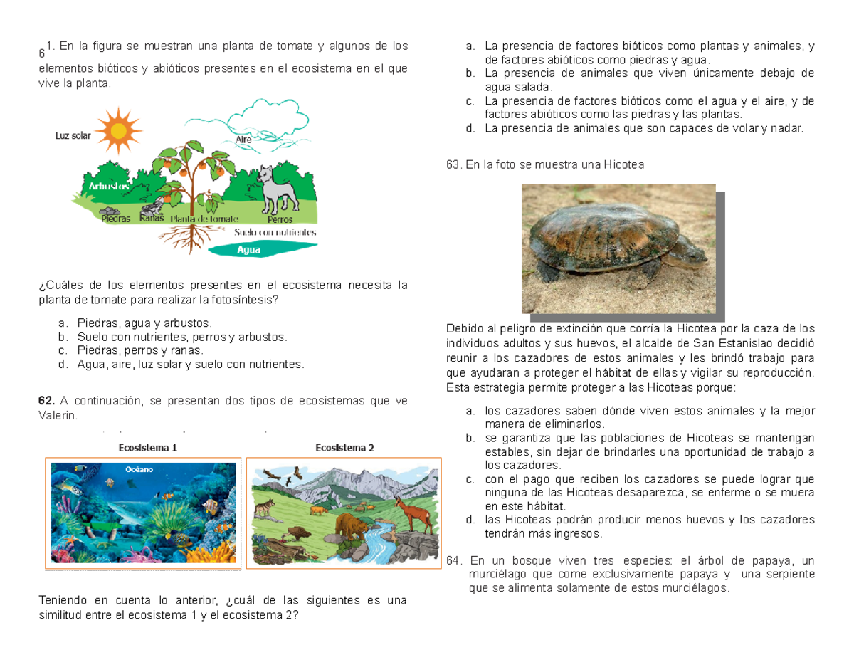EV Ciencias NAT 7 SEG Periodo - 6 En la figura se muestran una planta ...