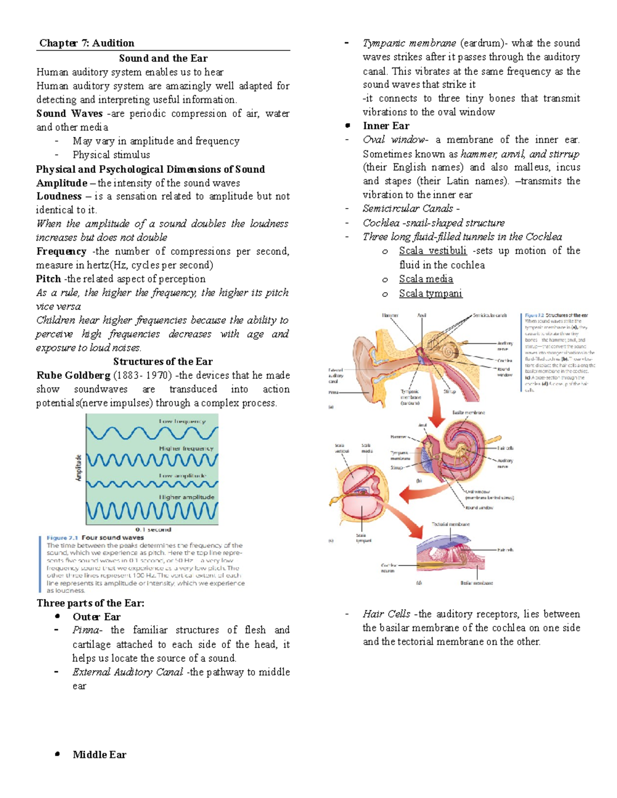 Audition Physio- Psych - Chapter 7: Audition Sound and the Ear Human ...