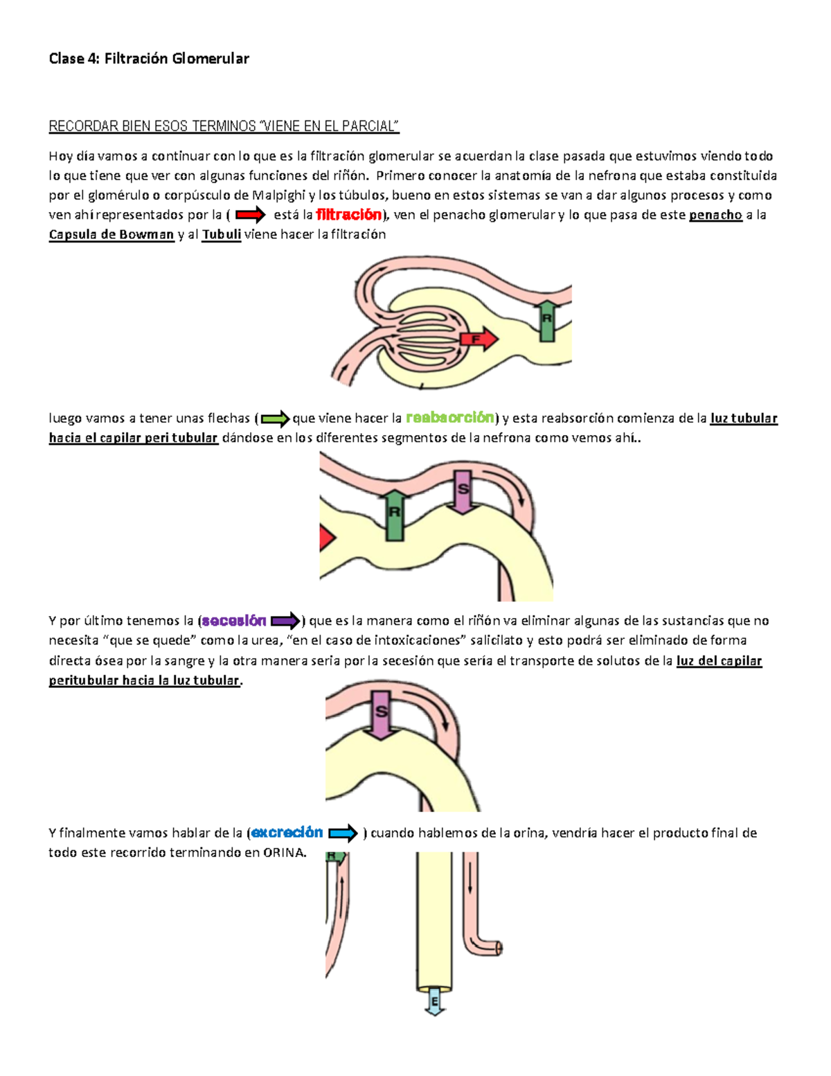 Clase 4 renal - Resumen Nefrología - Warning: TT: undefined function: 32 Warning: TT: undefined ...