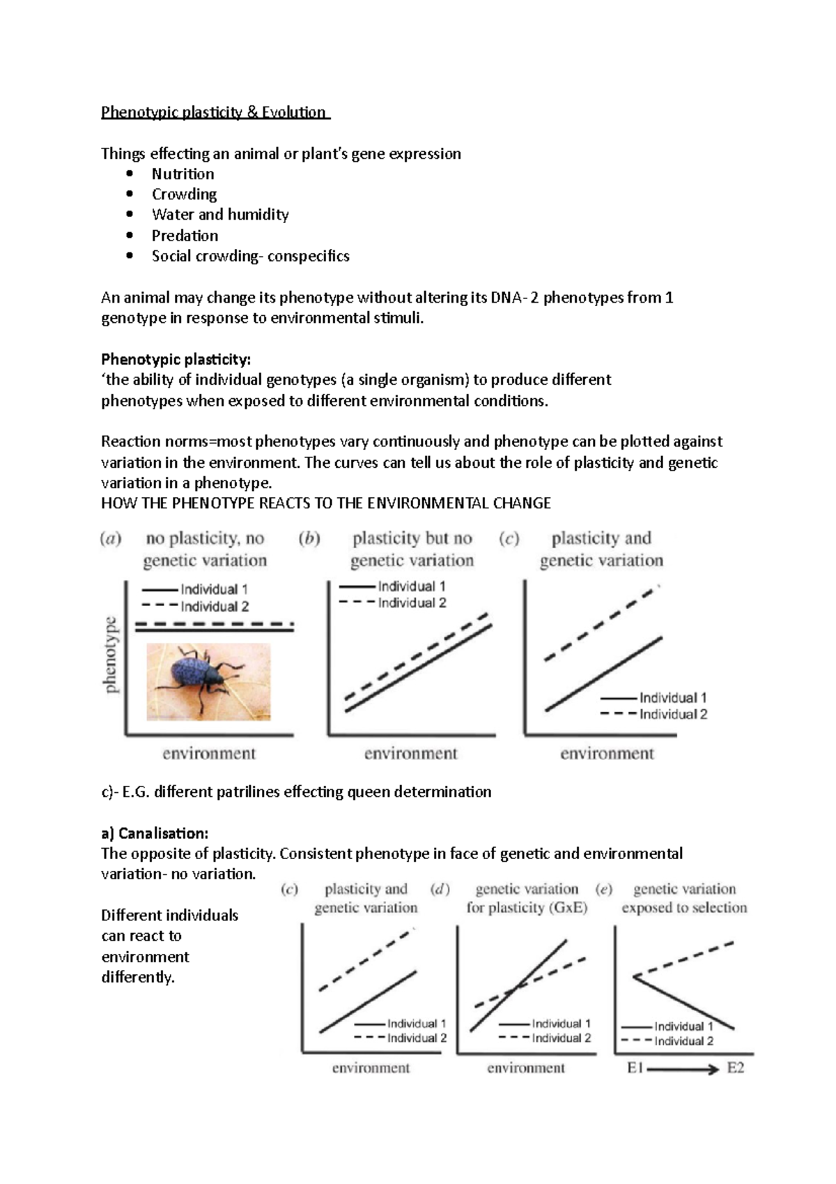 Phenotypic Plasticity in Evolution: Effects of Environment on Gene ...