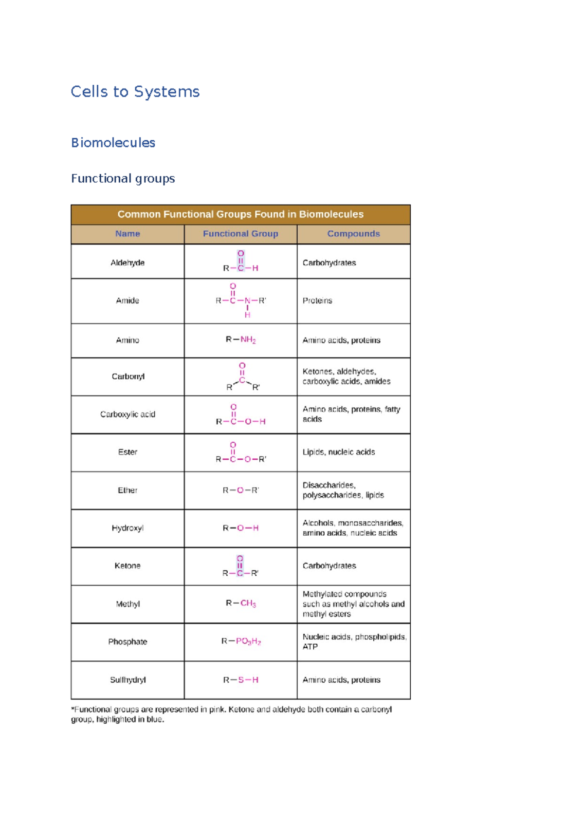 Cells to Systems - Biomolecules - Cells to Systems Biomolecules ...