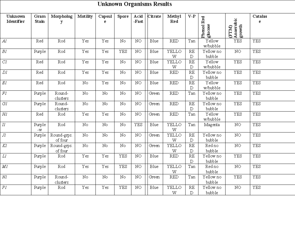 212 Virtual Labs Class Unknowns - Unknown Organisms Results Unknown ...