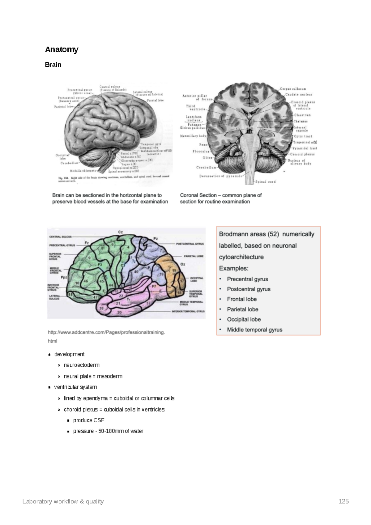 Bms325 Notes 2 切 쀀쀀쀀쀀 쀀 切︀︀ 切 쀀 찀 쀀쀀쀀쀀쀀쀀쀀 切 쀀 찀 䨀 切 切切