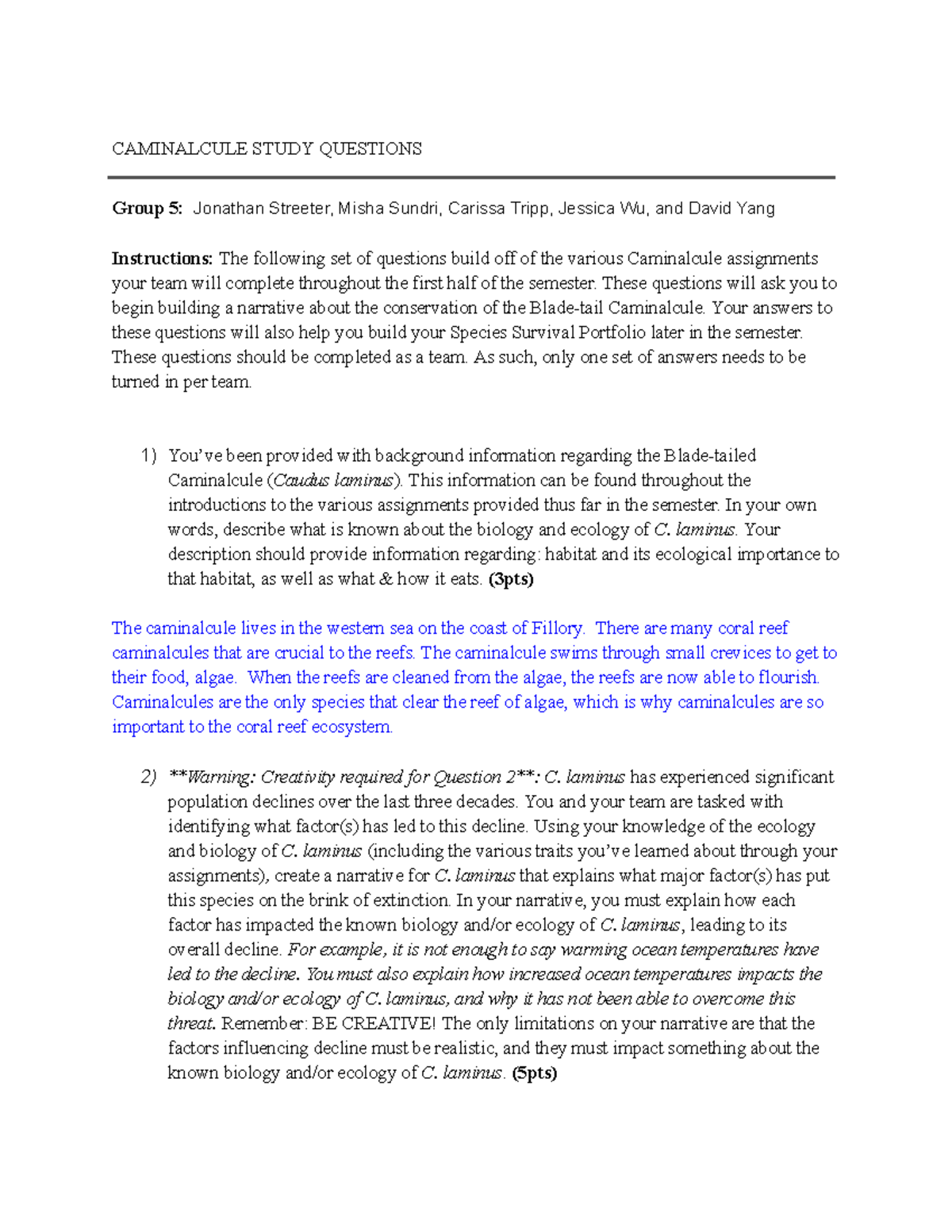 Caminalcule Study Questions - CAMINALCULE STUDY QUESTIONS Group 5 ...