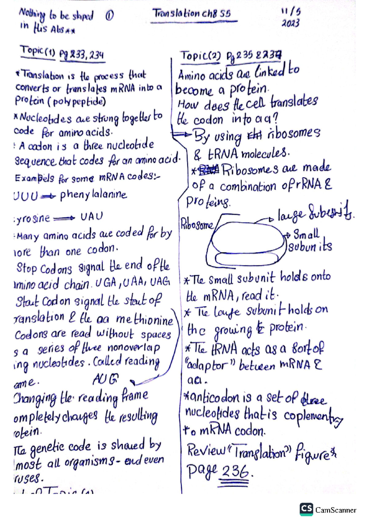 Translation Chapter 8 Section 5 Contains 2 Topics - Nothing to be staped 1 Translation ch8s5 in ...