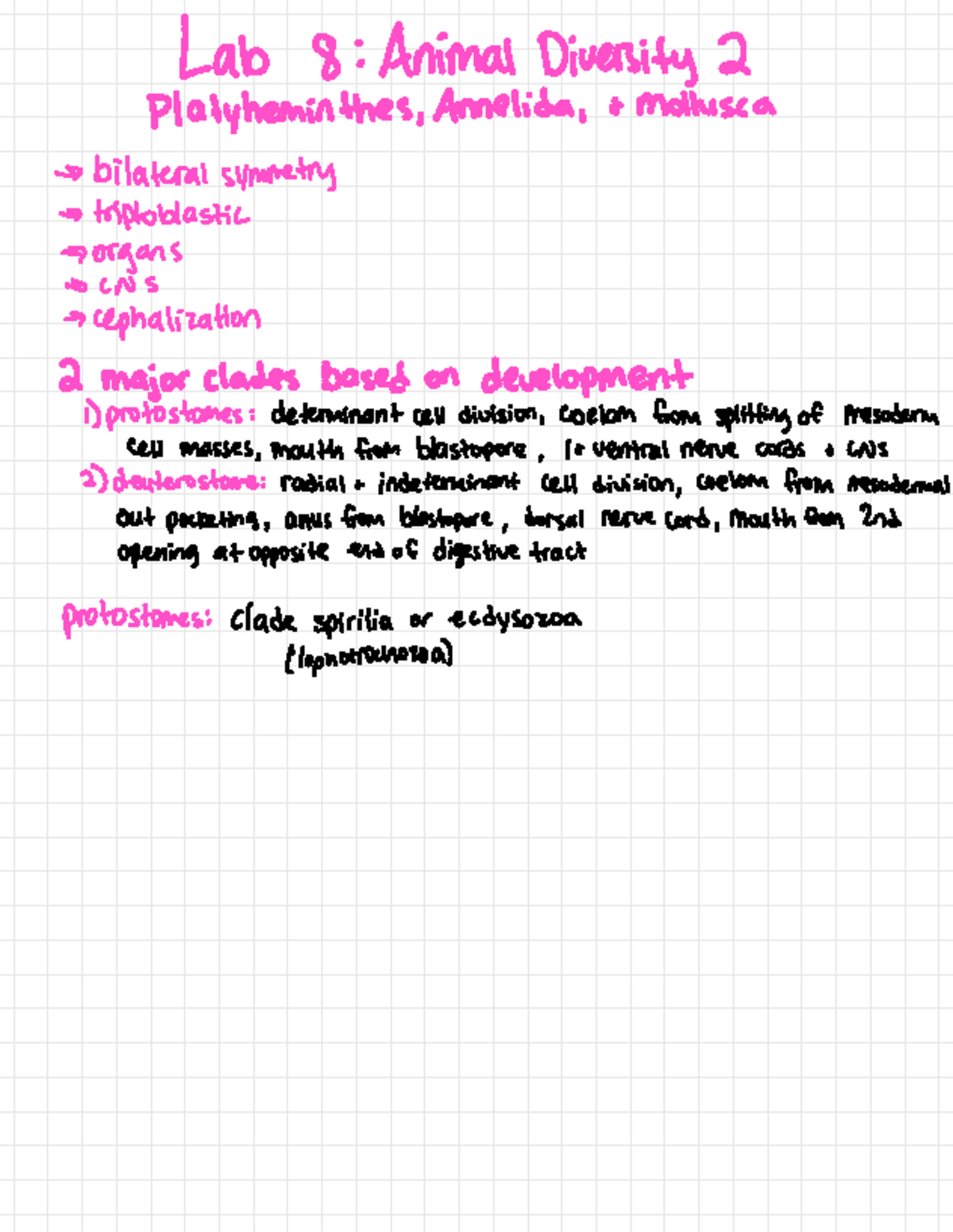 Lab 8 - Bio 199L with Alex Landy - Lab 8 : Animal Diversity 2 Platy ...