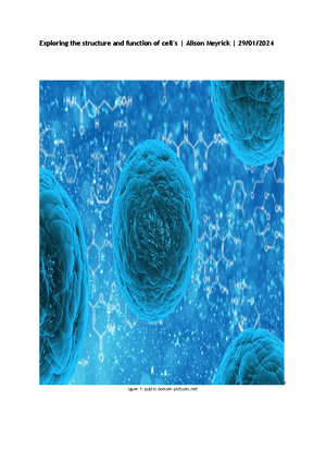 Human reproduction - unit 7 access to midwifery distinction - Human ...