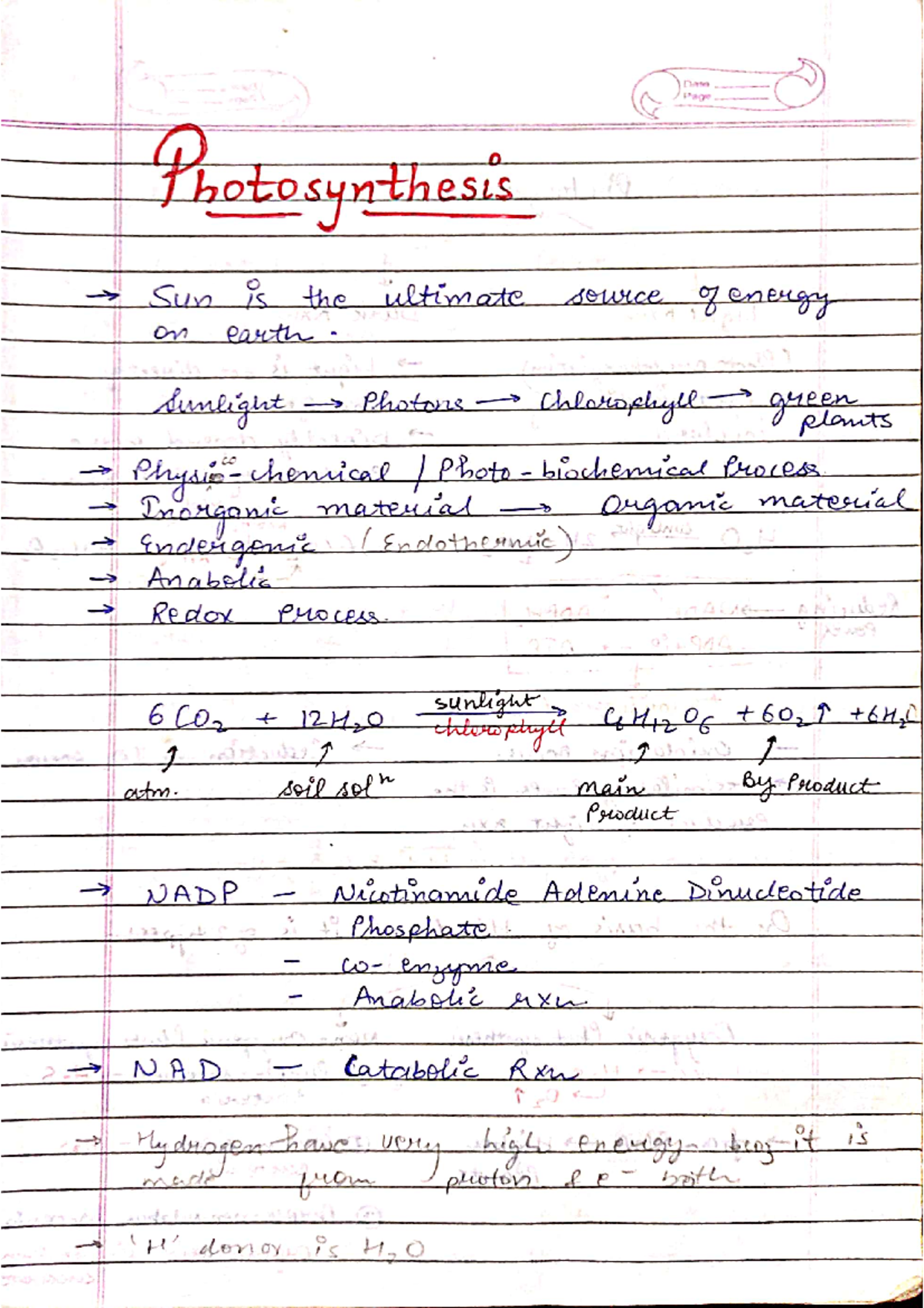 NEET (UG) Ncert Photosynthesis Short Notes - Molecular Biology - Studocu