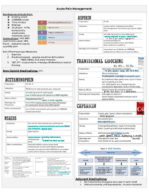 Hypopharynx + Neck + Mucosal Neoplasms Pathology Chart - Hypopharynx ...