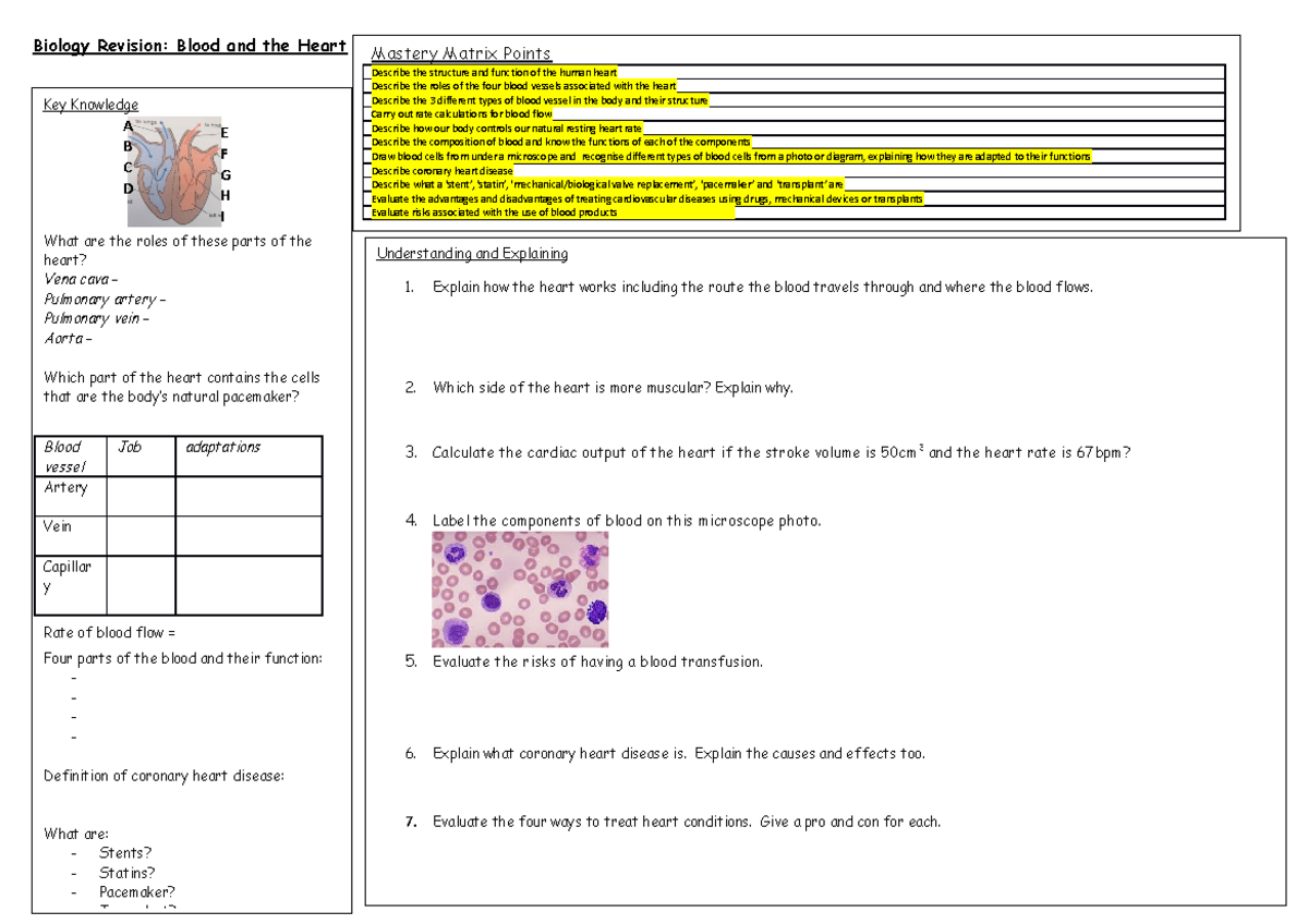Blood and the Heart - Explain how the heart works including the route ...