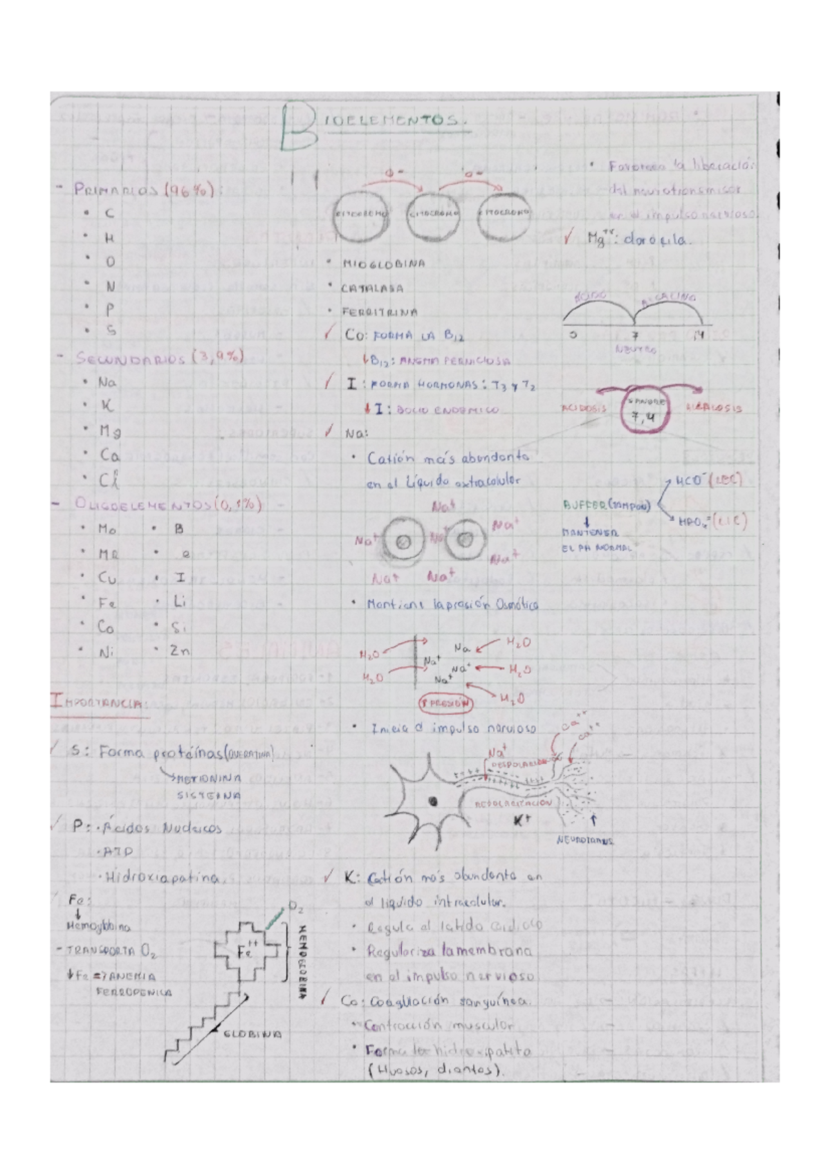 Bio Elementos - bviyfrxyit - LOELEMENTOS Forbrass la liberacion ...