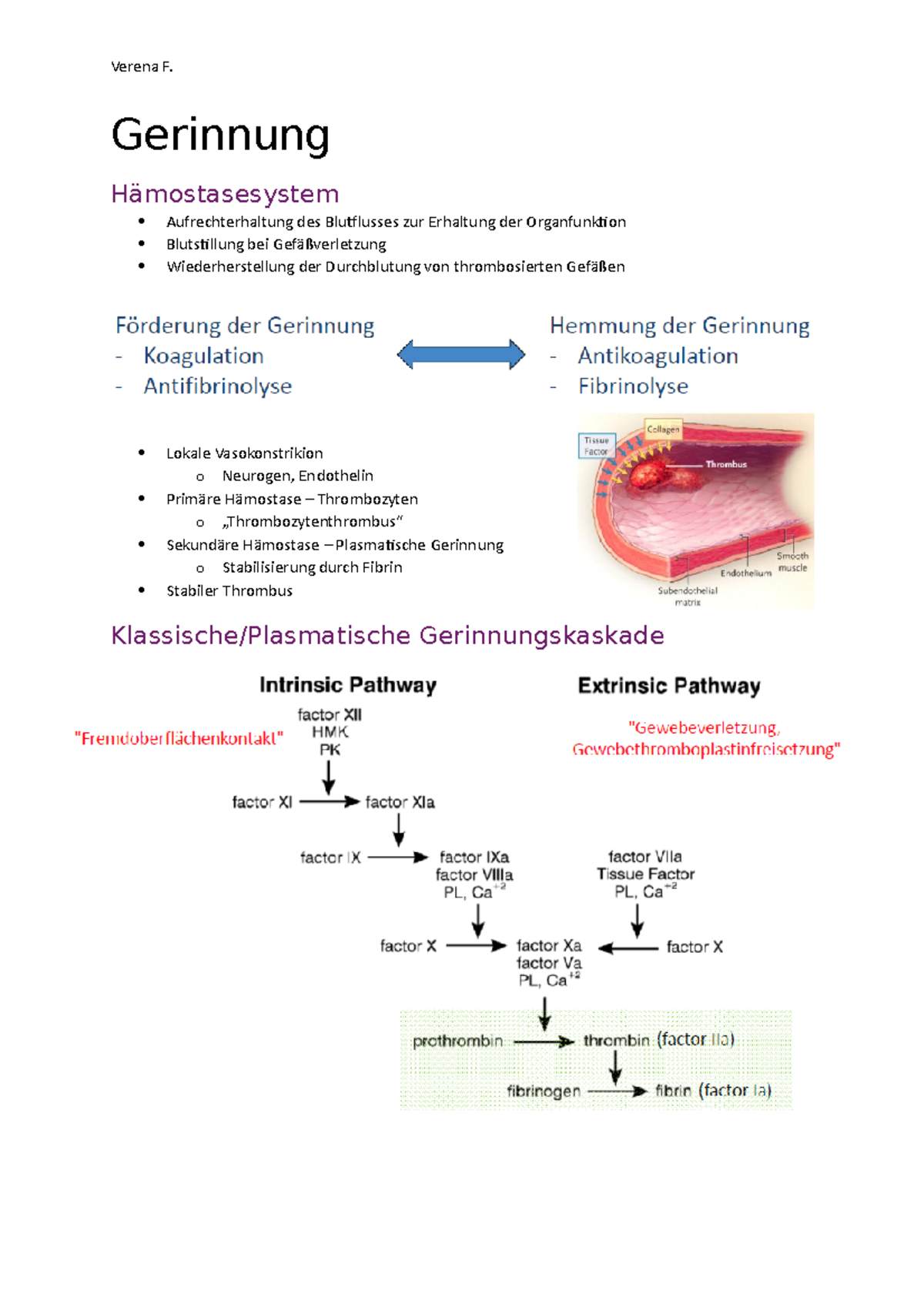 Pharmakologie Gerinnung - Gerinnung Hämostasesystem Aufrechterhaltung ...