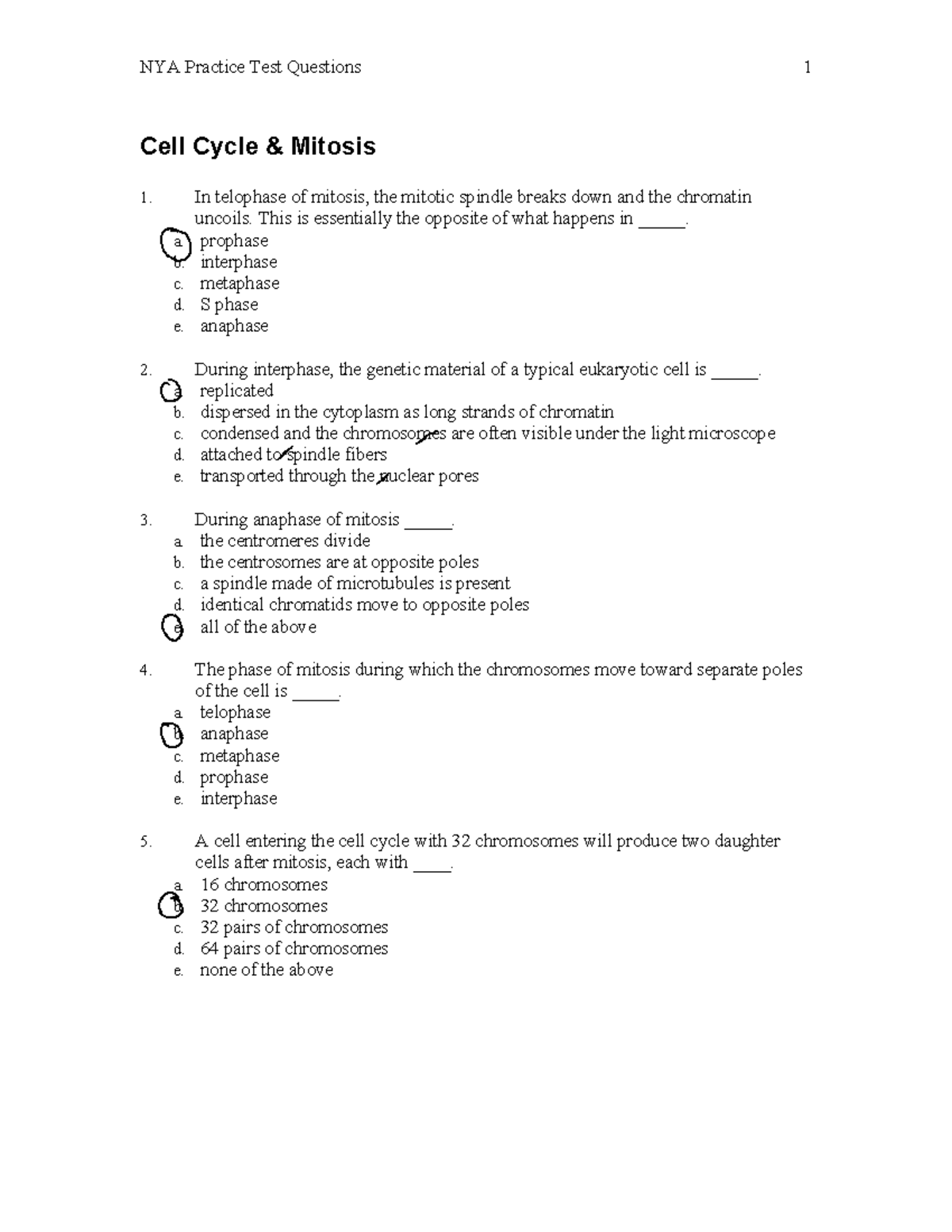 NYA Practice Questions mitosis - Cell Cycle & Mitosis 1. In telophase ...
