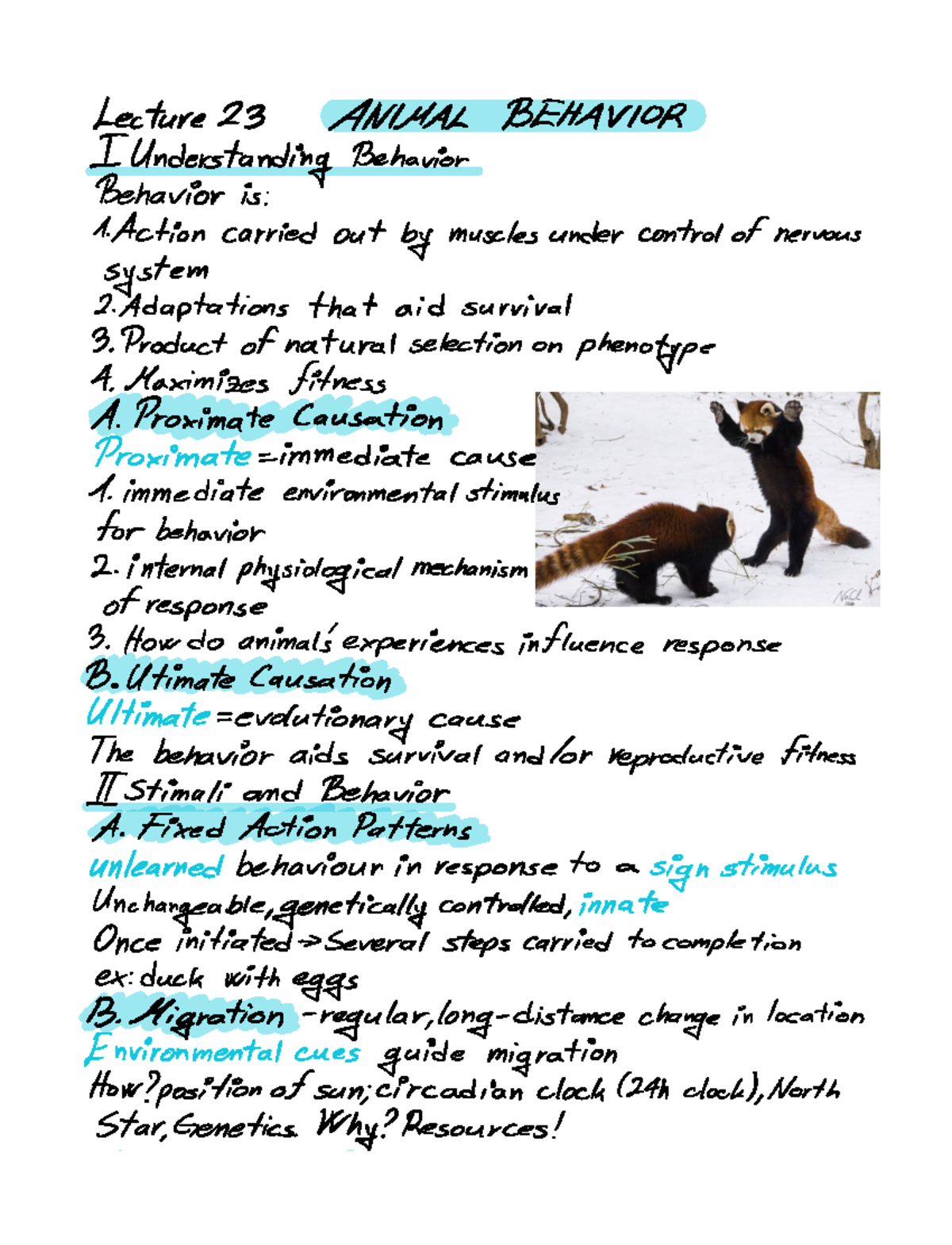 Be402a24-e381-4db6-bae3-10bb9a1913e0 - Lecture 23 ANIMAL BEHAVIOR I ...