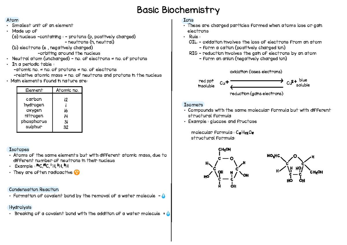 Biological Molecules Summary - 2 6 26 Cz c 2C 2 23 c c c c Cz i t c c c ...