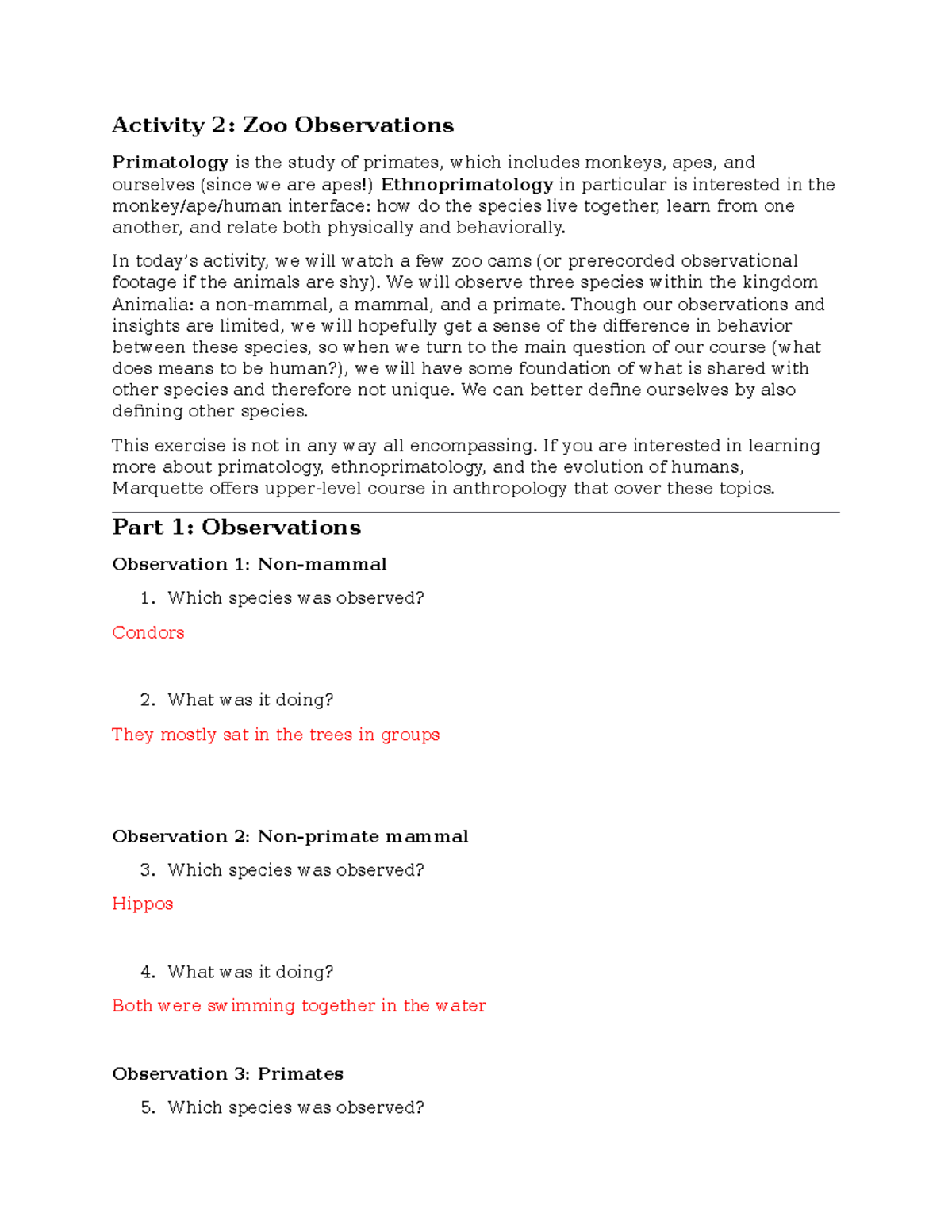 Activity 2 Zoo Observation - Activity 2: Zoo Observations Primatology ...