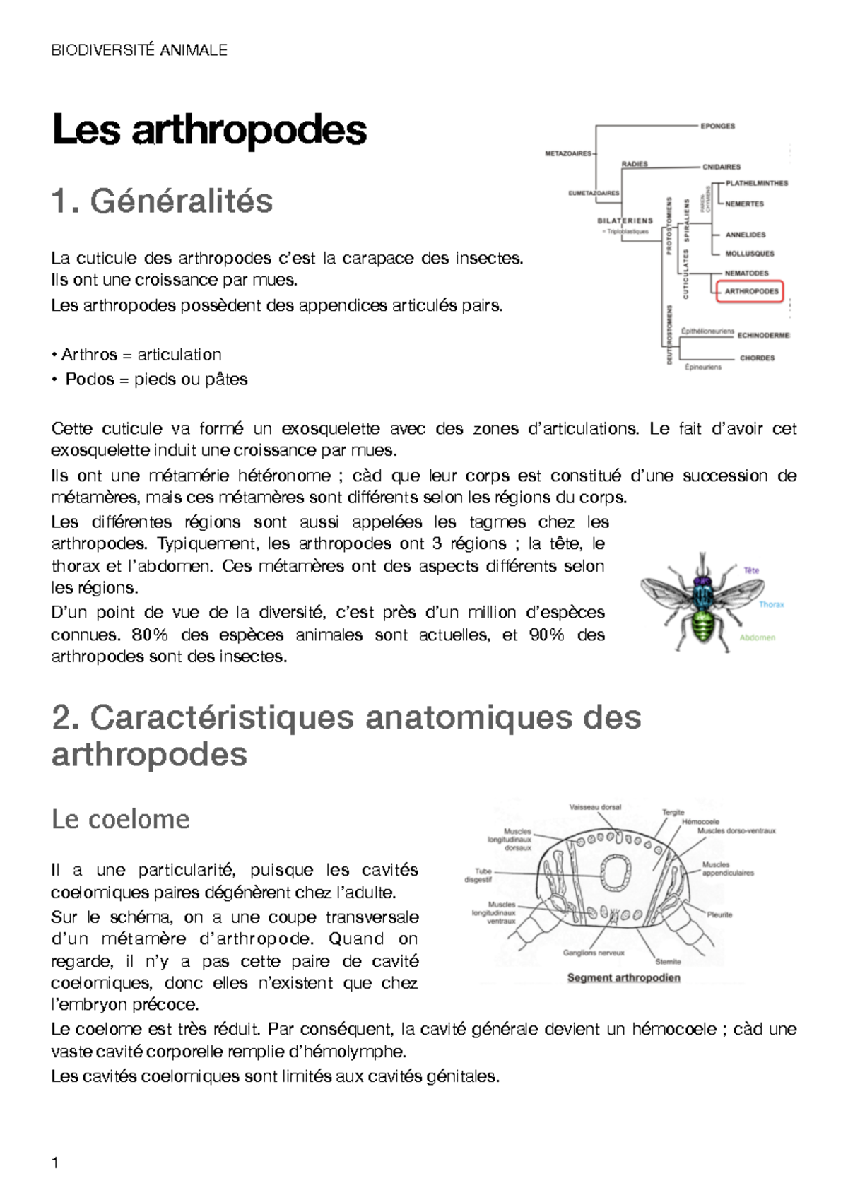 2. Les arthropodes - cours entier - Les arthropodes 1. Généralités La ...