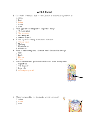 Week6 endocrine system edapt - BIOS 252 - Chamberlain University - Studocu