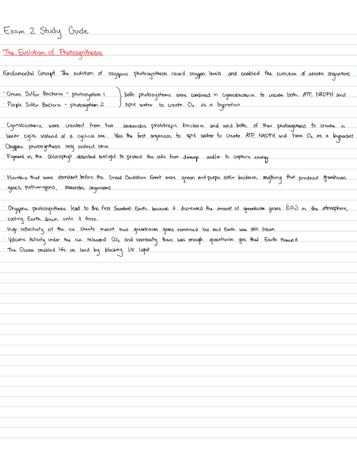 Exam 2 Study Guide - Exam 2 Study Guide The Evolution of Photosynthesis ...