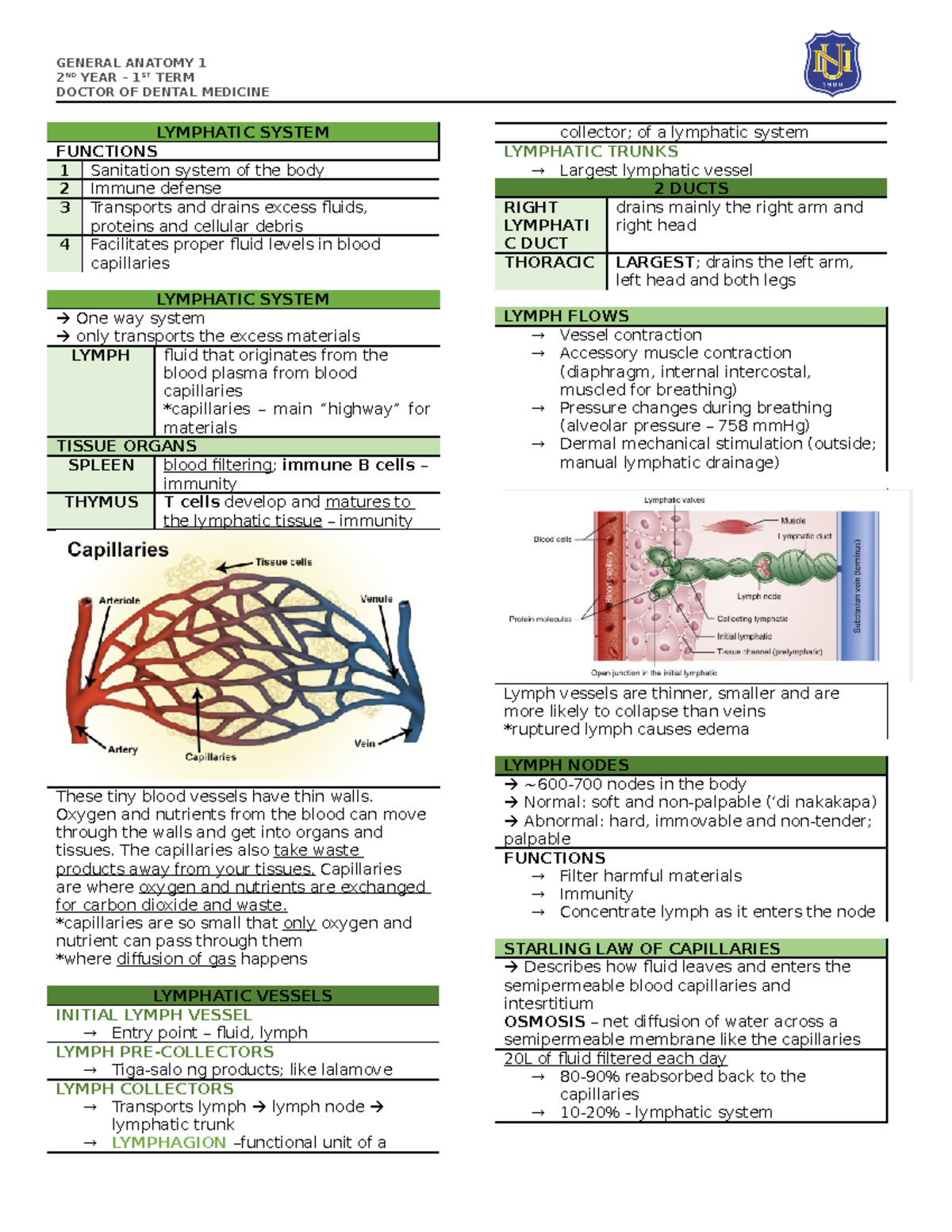 Lesson 11 - Lymphatic System - General Anatomy 1 - Studocu