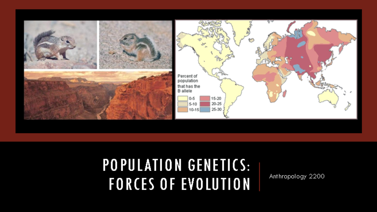 7 Population Genetics Forces of Evolution - POPULATION GENETICS: FORCES ...