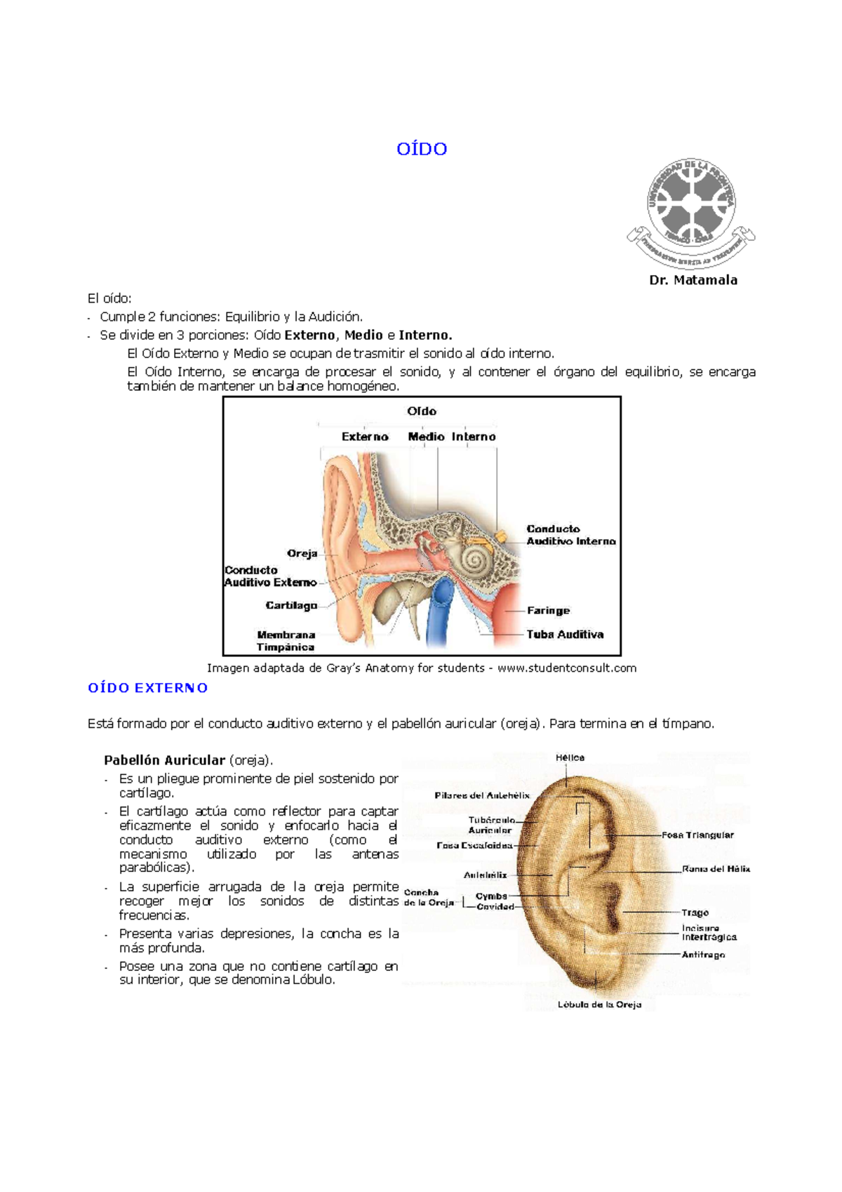 Fono - Anatomía de oido externo - - - StuDocu