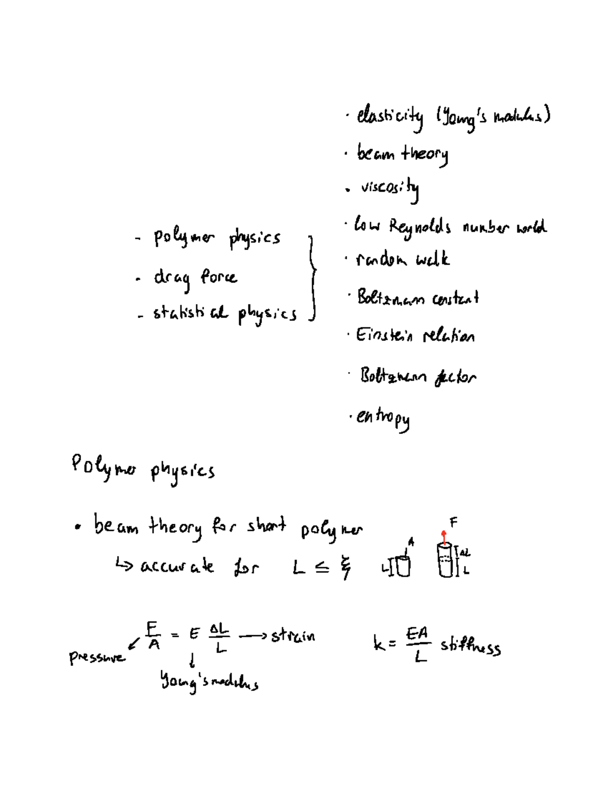 Recap biophysics - Notes - elasticity Yeung's modulus beam theory ...