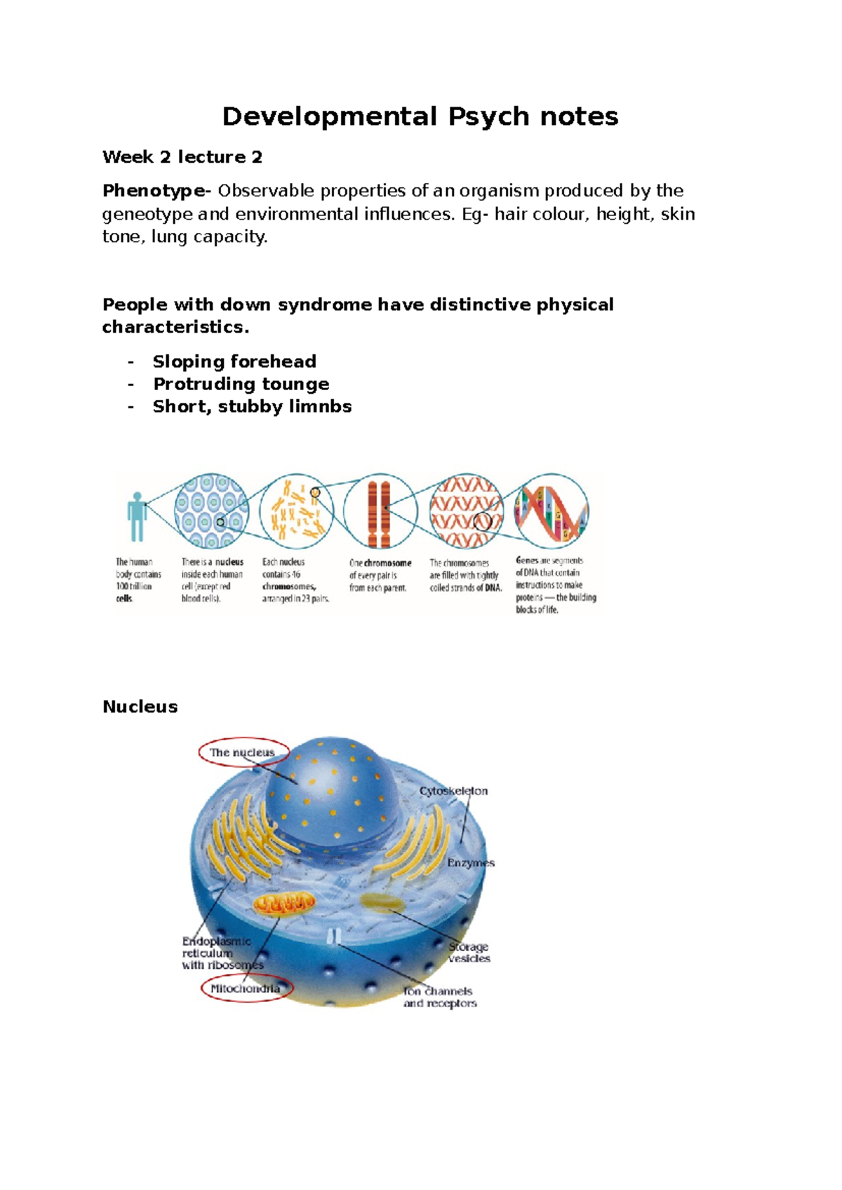 Developmental Psych notes - Eg- hair colour, height, skin tone, lung ...