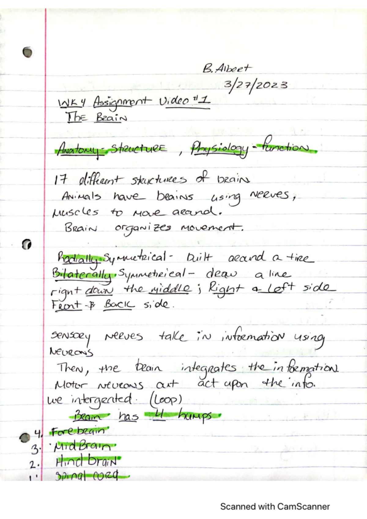 AP2 Wk 4 Assignment - FAN Notes Youtube Videos - BIOS-252 - Studocu