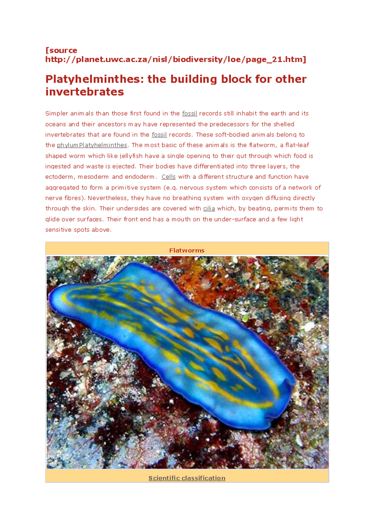 Reading resource 4 - Platyhelminthes as building blocks for higher ...