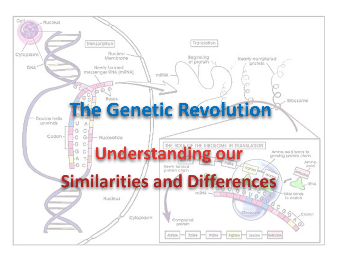 Mendelian Genetics 1408 - The Genetic Revolution Understanding our ...