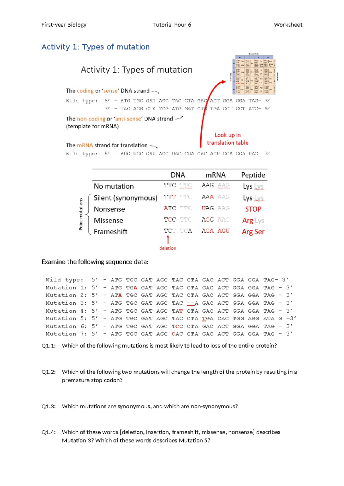 Genetics - worksheet - Activity 1: Types of mutation Examine the ...