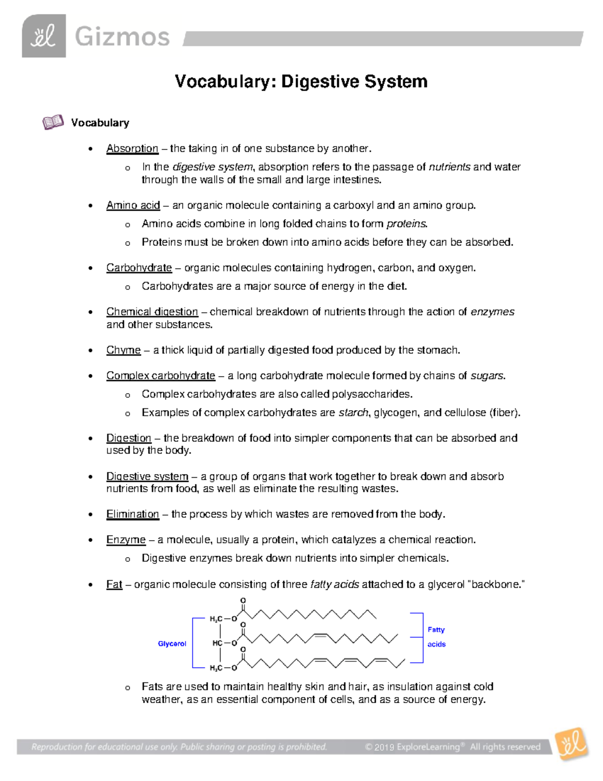 Digestive System Vocab - 2019 Vocabulary: Digestive System Vocabulary ...
