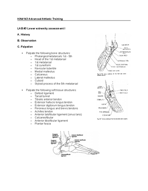 Bjsports-2017-097506 SCAT5.full - SCAT5© SPORT CONCUSSION ASSESSMENT ...