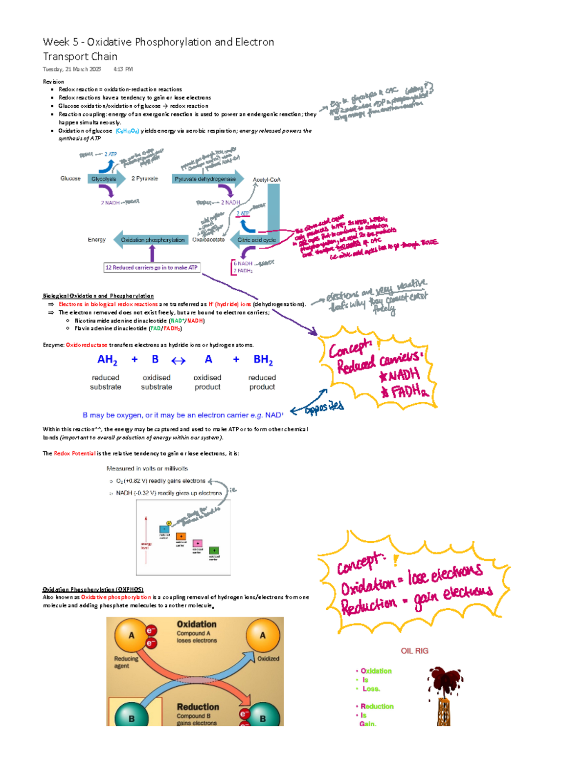 Week 5 Lecture Notes - Revision Redox reaction = oxidation-reduction ...