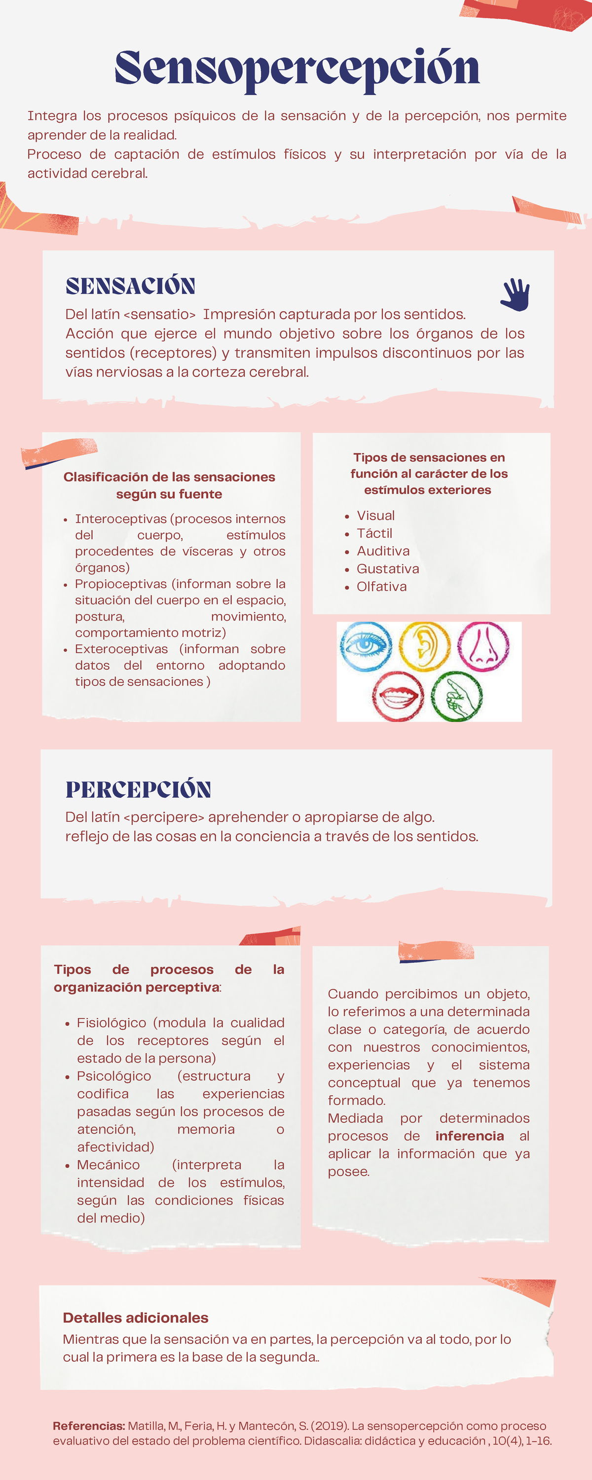 1 Infografías-2 - infografía del proceso cognitivo de la sensopercepción - Sensopercepción ...
