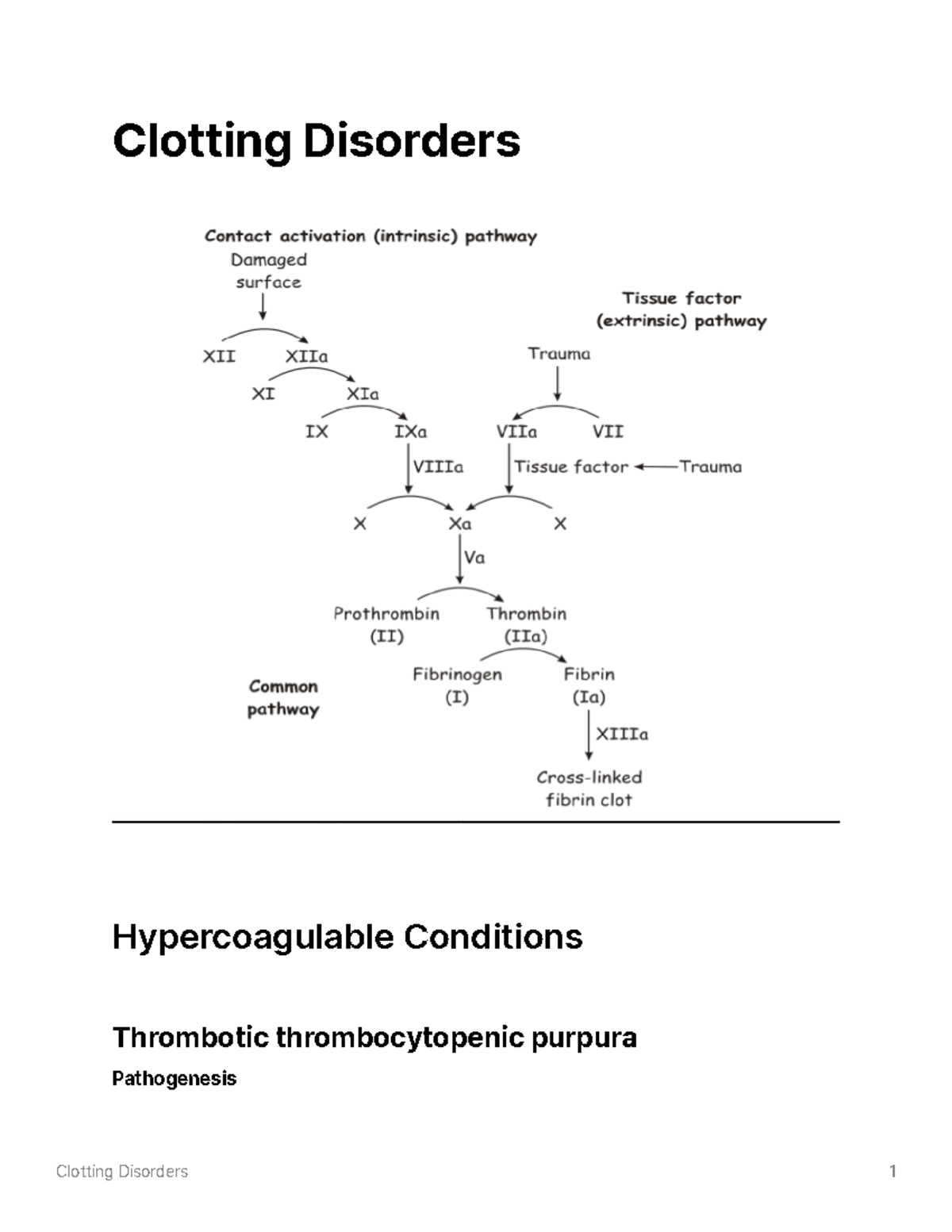 Clotting Disorders - Clotting Disorders Hypercoagulable Conditions ...