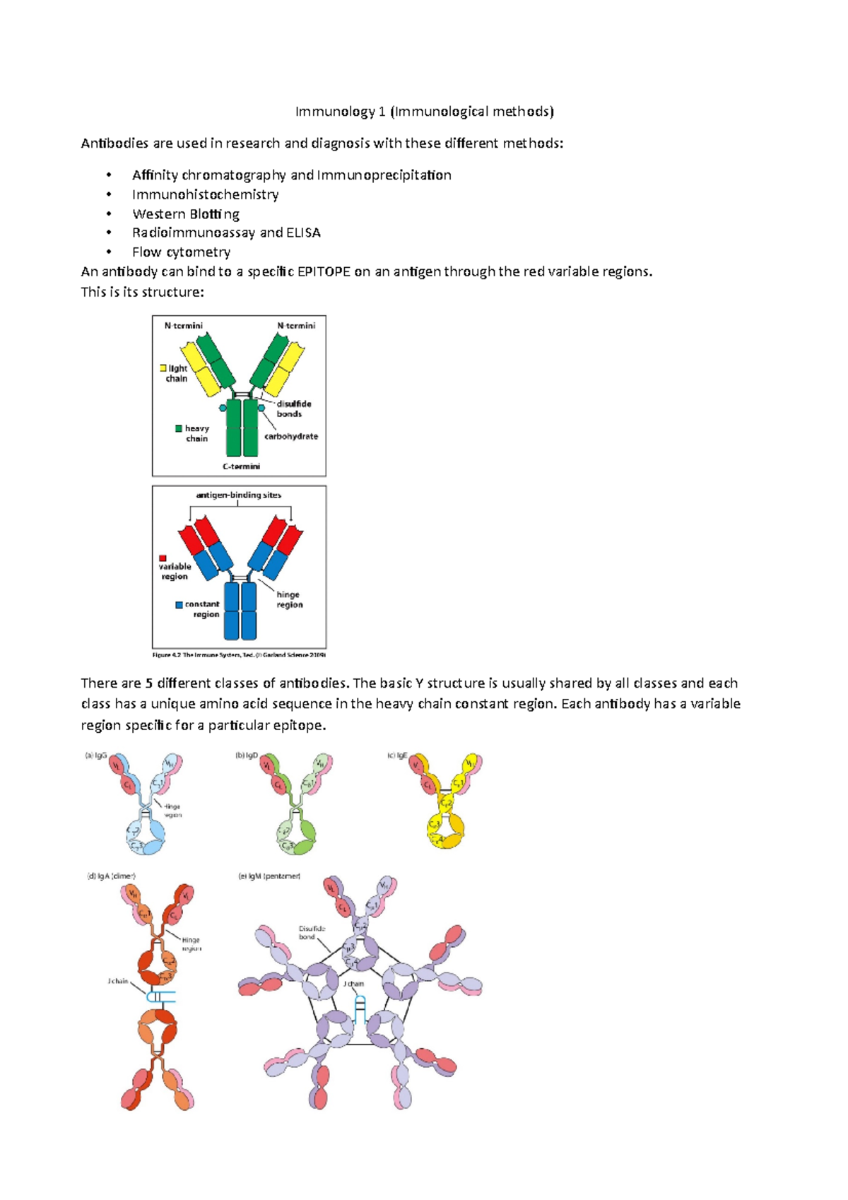 Immunology FIRST LECTURE - Immunology 1 (Immunological methods ...